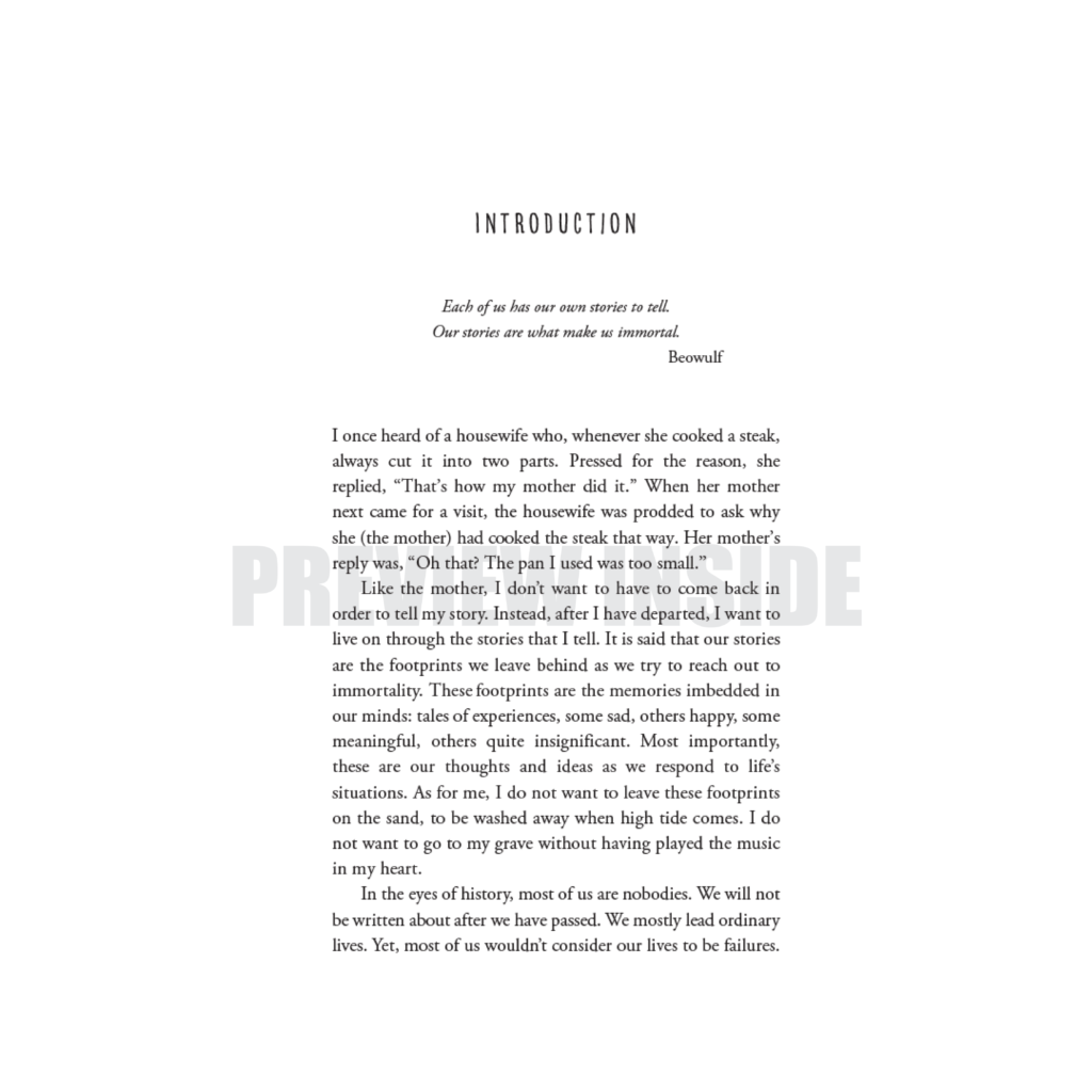 When Turtles Come Home – Centralbooks